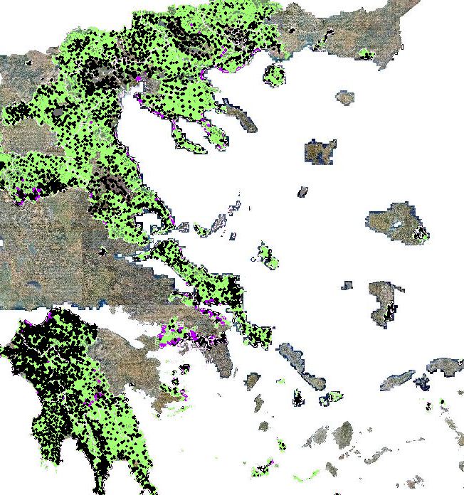 Δασικοί Χάρτες Καλυβίων Θορικού (Καλύβια) |Υποβολή Αντίρρησης ...
